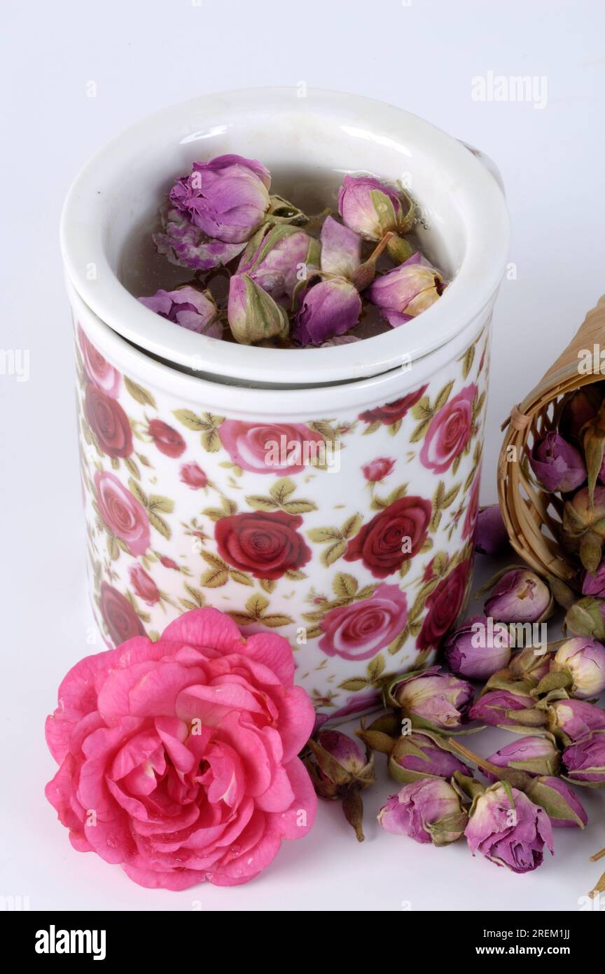 Cup of Rose Petal Tea (Pink), Rose Petal Tea Stock Photo - Alamy