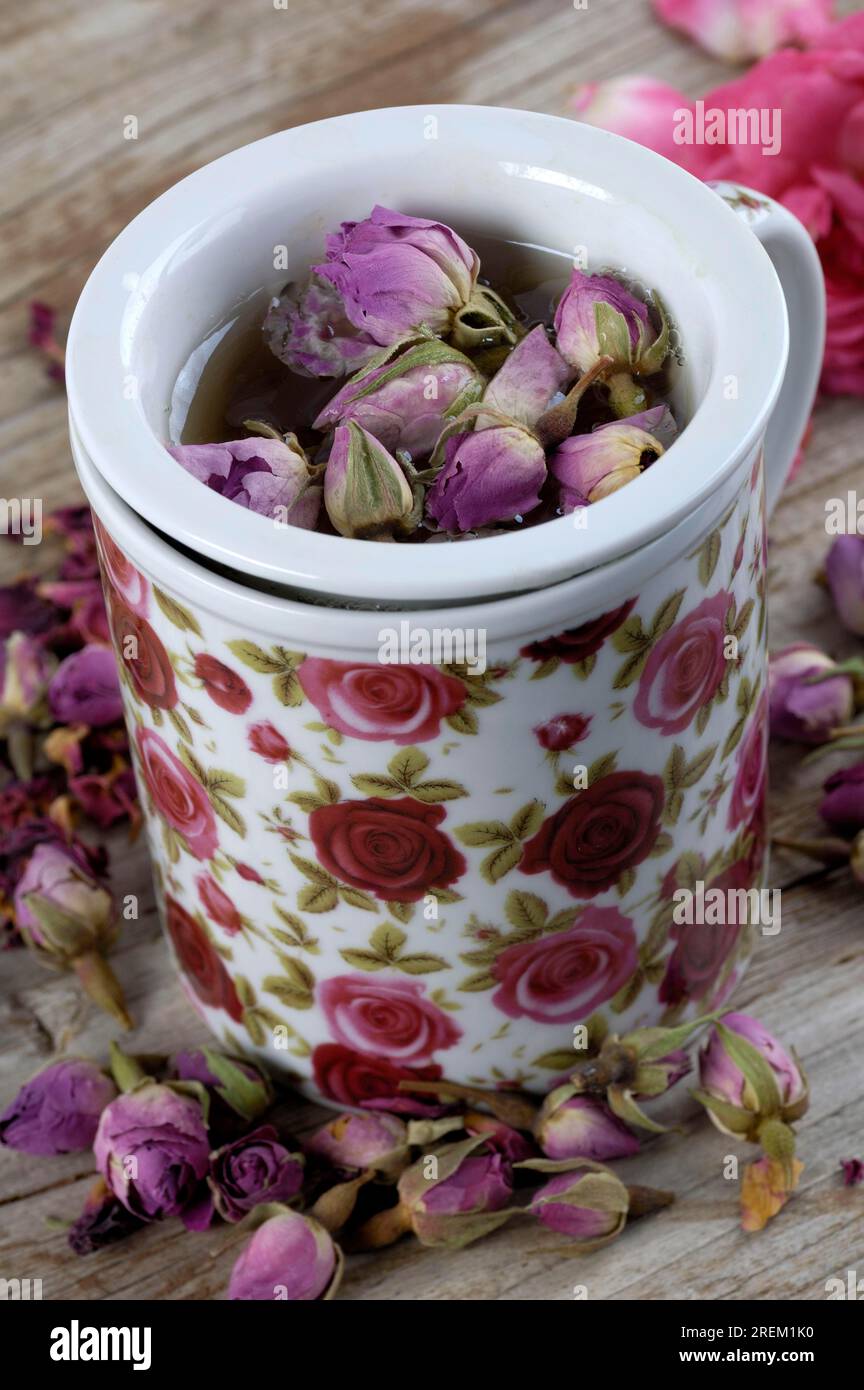 Cup of Rose Petal Tea (Pink), Rose Petal Tea Stock Photo - Alamy