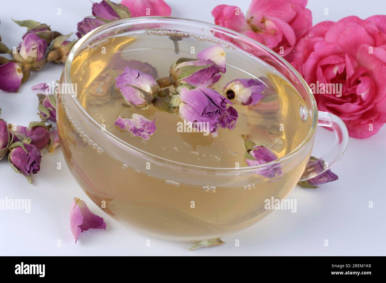 Cup of Rose Petal Tea (Pink), Rose Petal Tea Stock Photo - Alamy