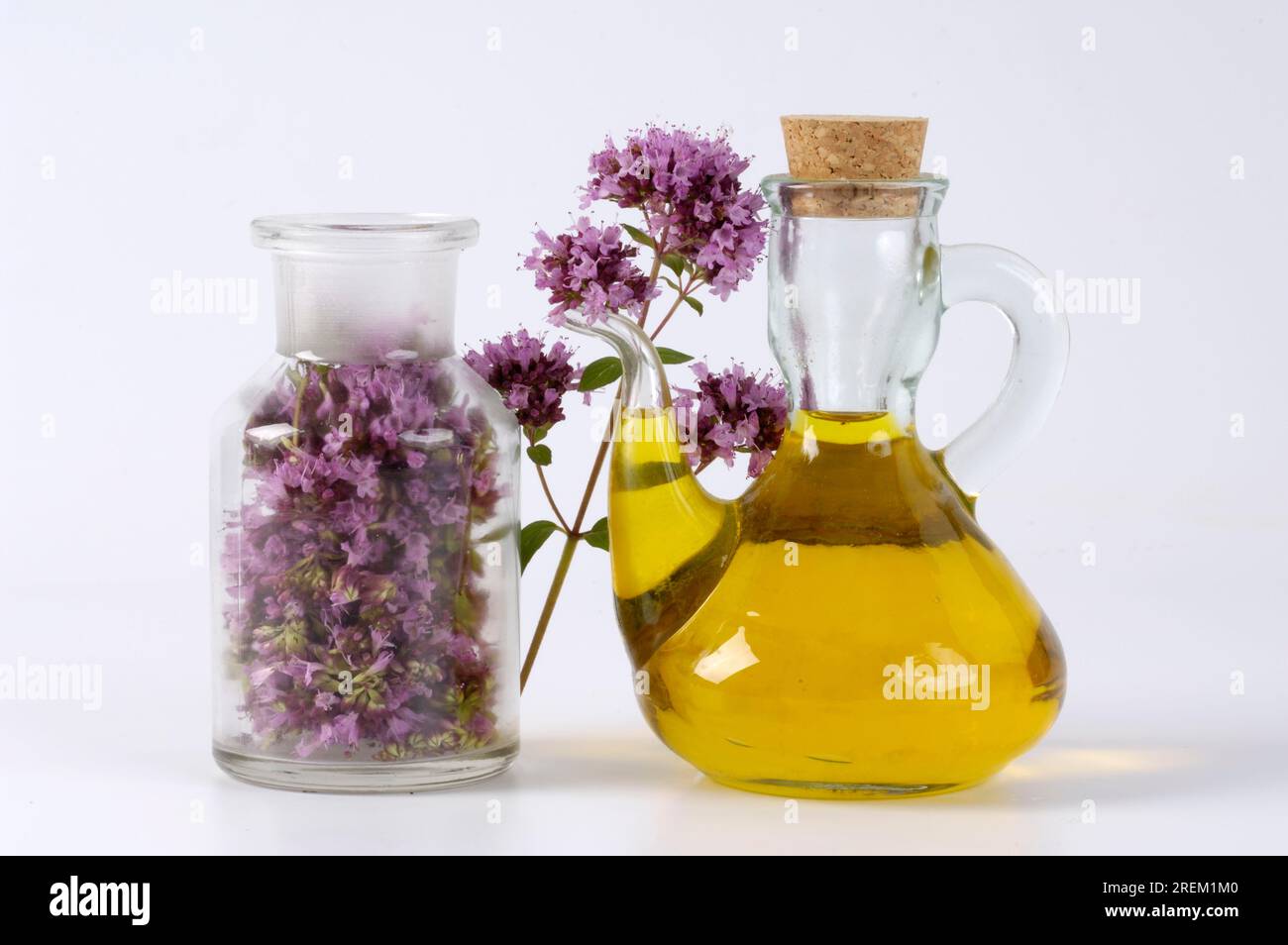 Oregano oil origanum vulgare hi-res stock photography and images - Alamy
