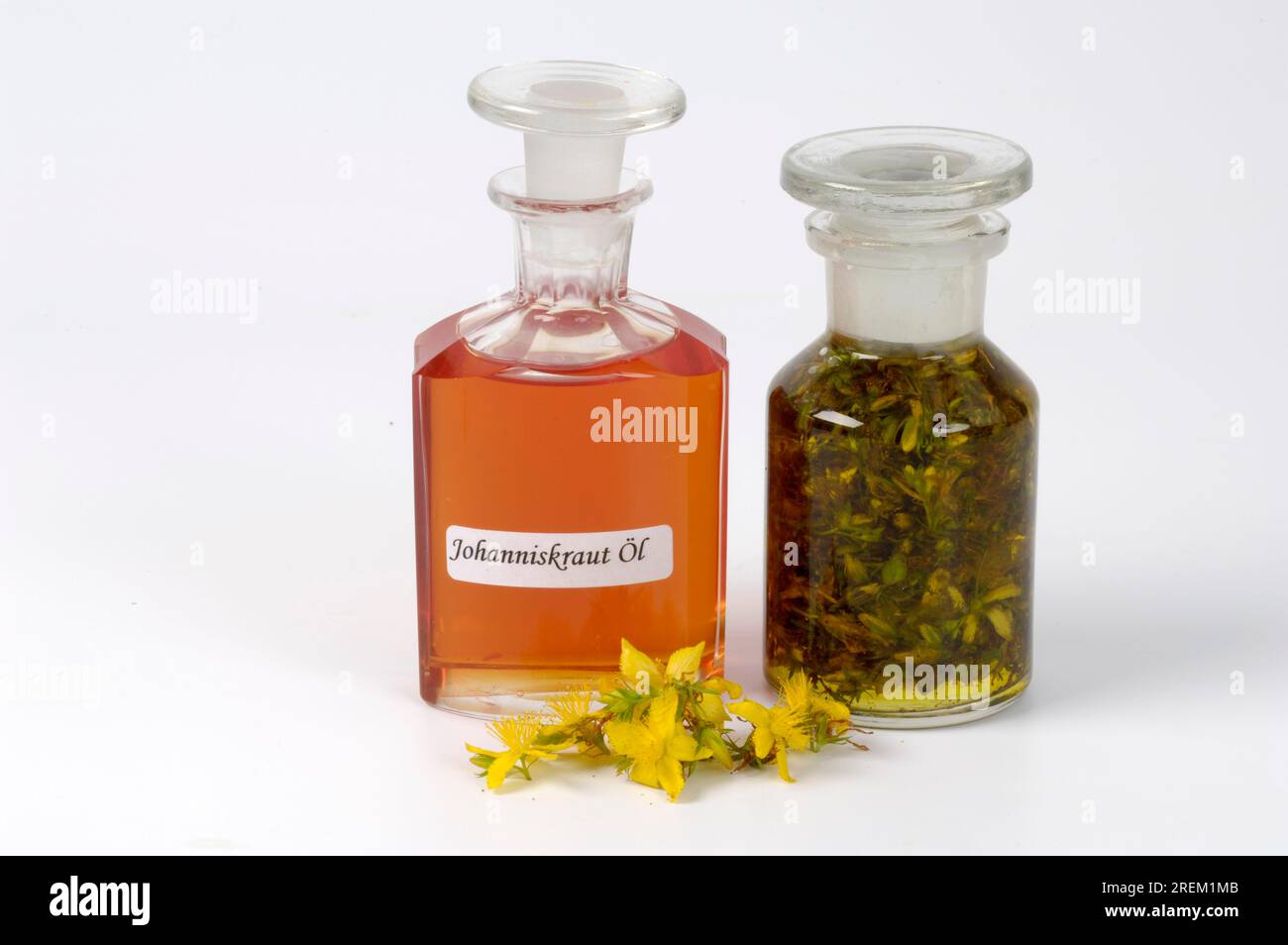 Production of St. John's wort oil, Spotted St. John's wort, Real St ...