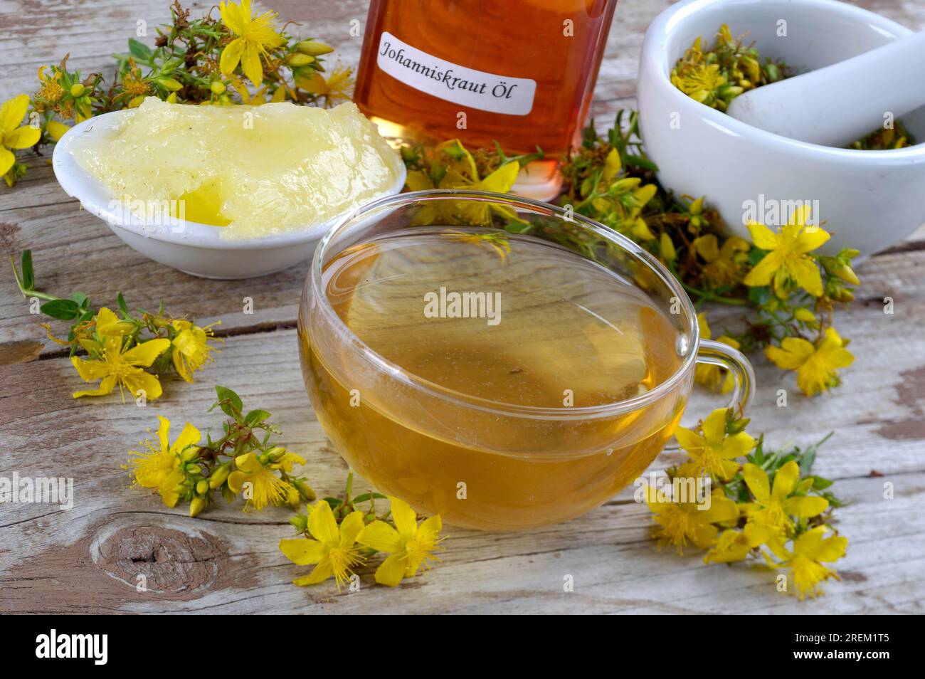 Cup of Common St John's wort tea, Spotted Common St John's wort, Real ...