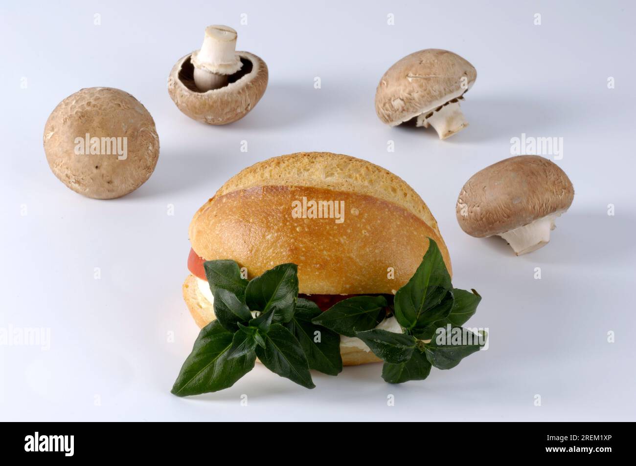 Bread roll with mushroom herb (Rungia klossii), Moku, Tani, Kenkana ...