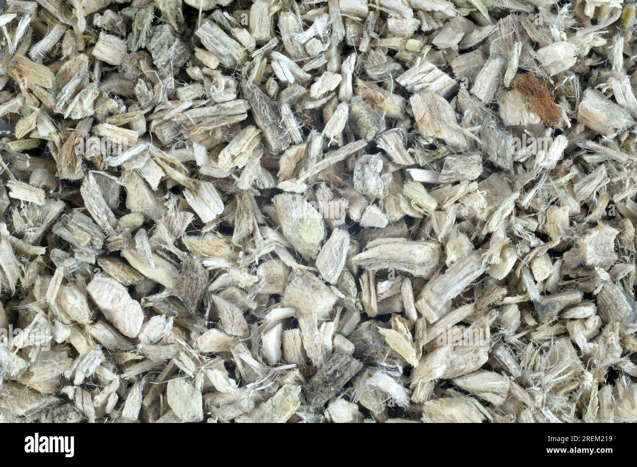 Althaea officinalis (Althaea officinalis), dried root Stock Photo - Alamy