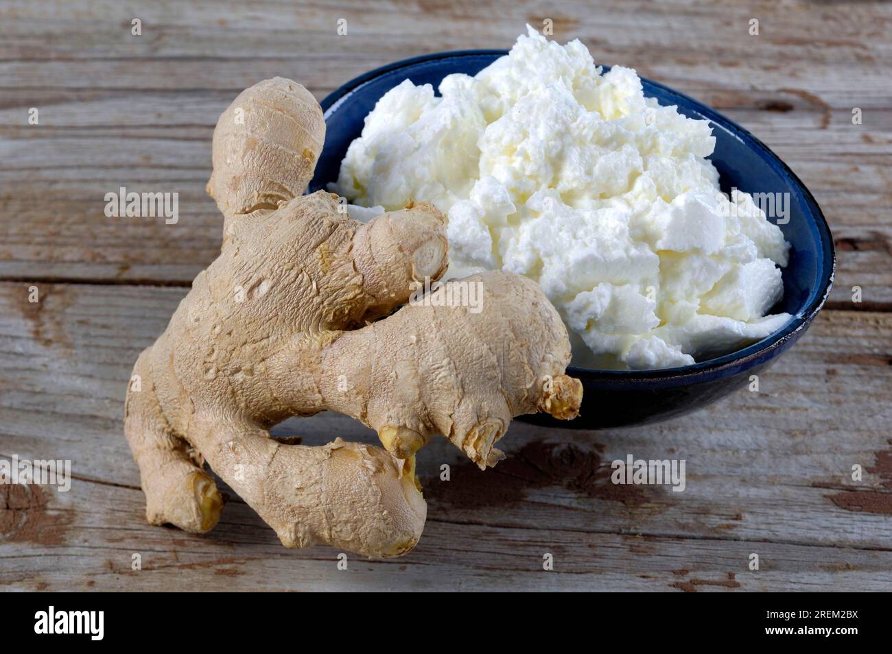 Ginger (Zingiber officinale) and cottage cheese Stock Photo - Alamy