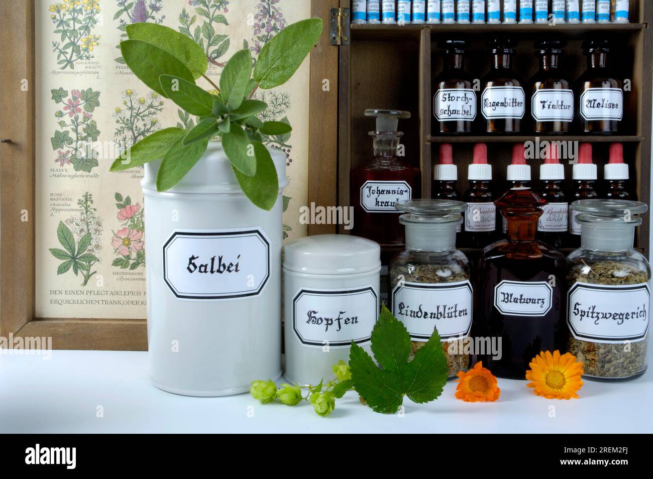 Herbal pharmacy with tinctures, globules, St. John's wort oil, Bach ...