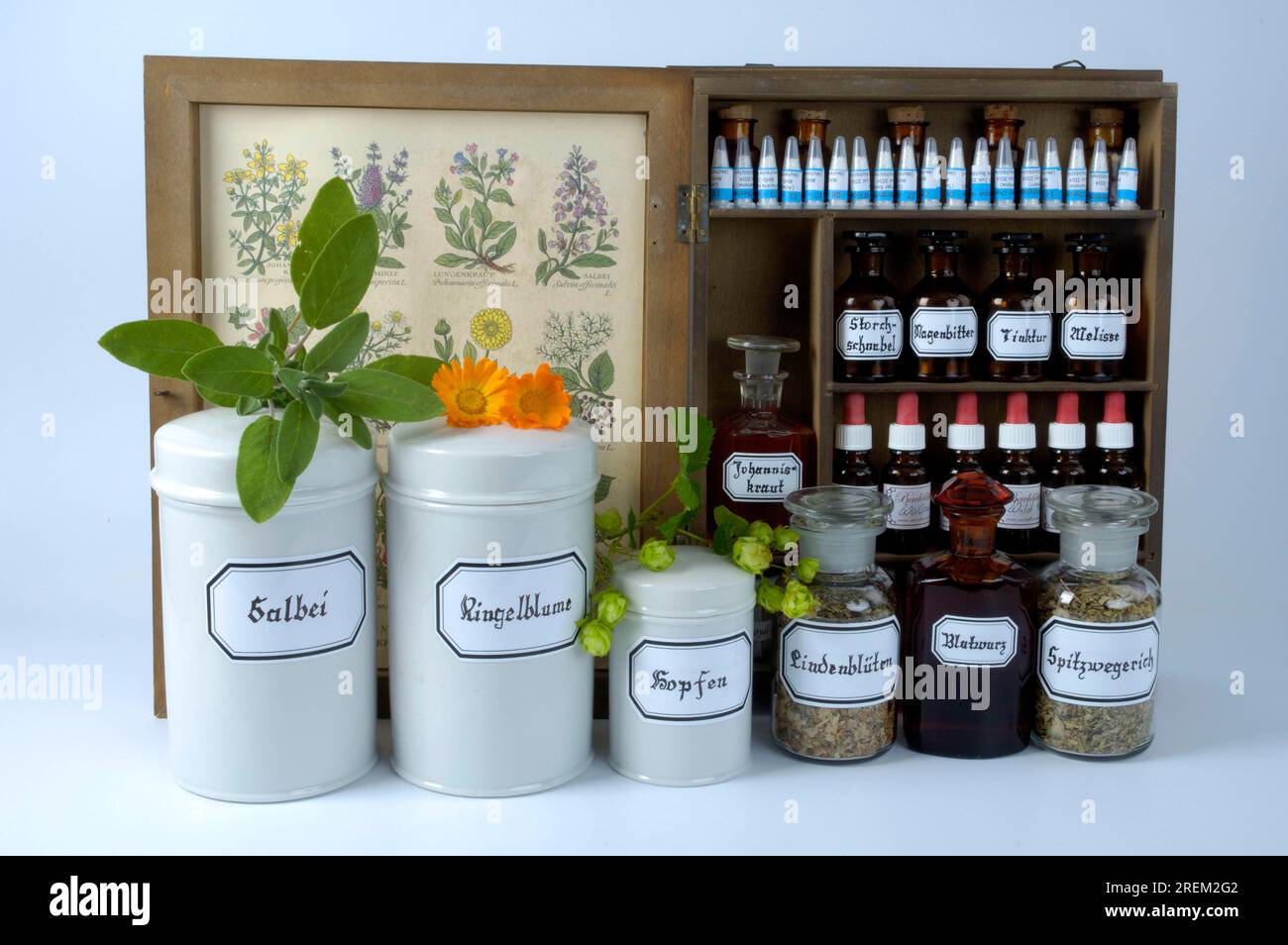 Herbal pharmacy with tinctures, globules, St. John's wort oil, Bach ...