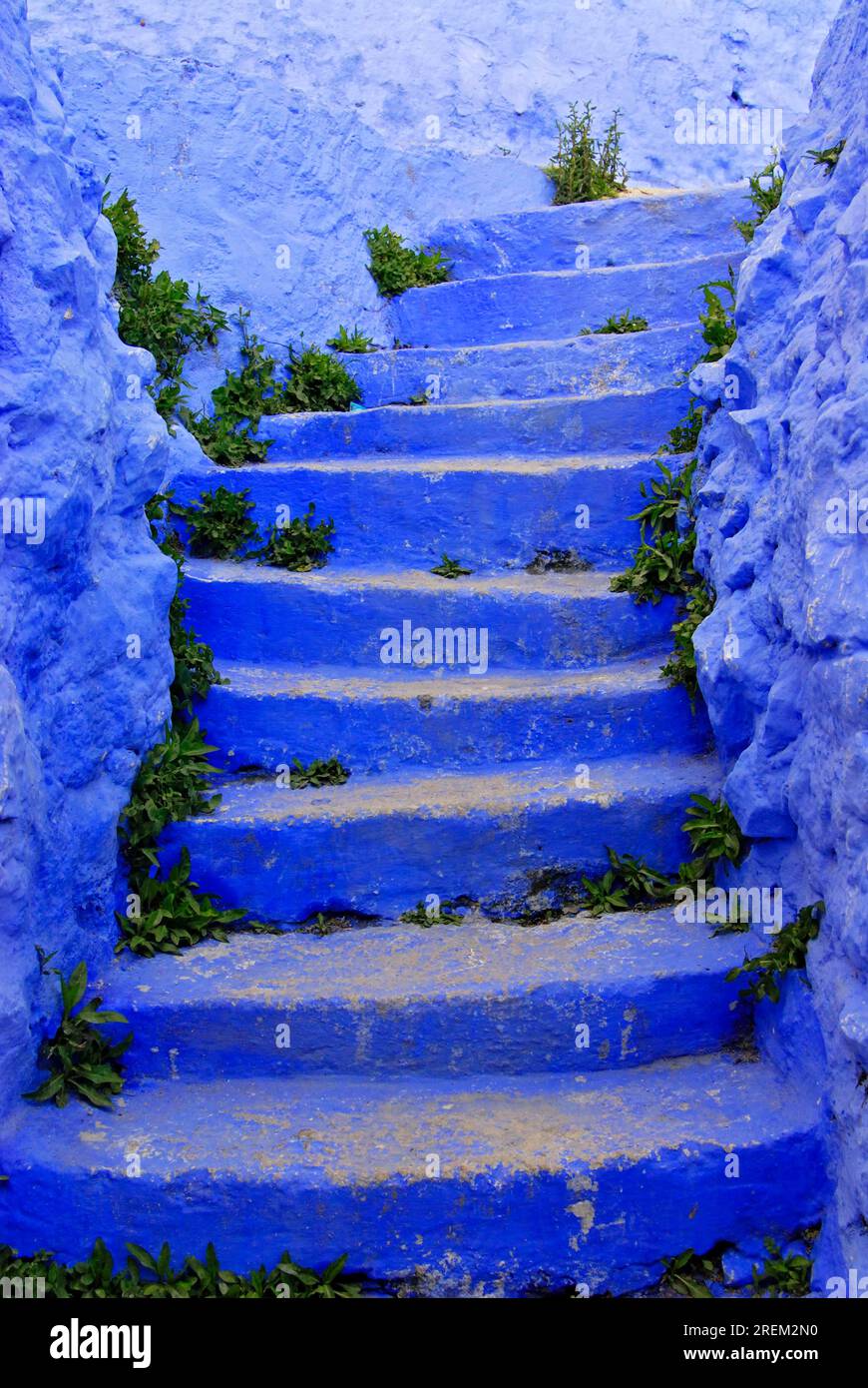 Blue Steps, Chefchaouen, Medina, Chaouen, Morocco Stock Photo - Alamy