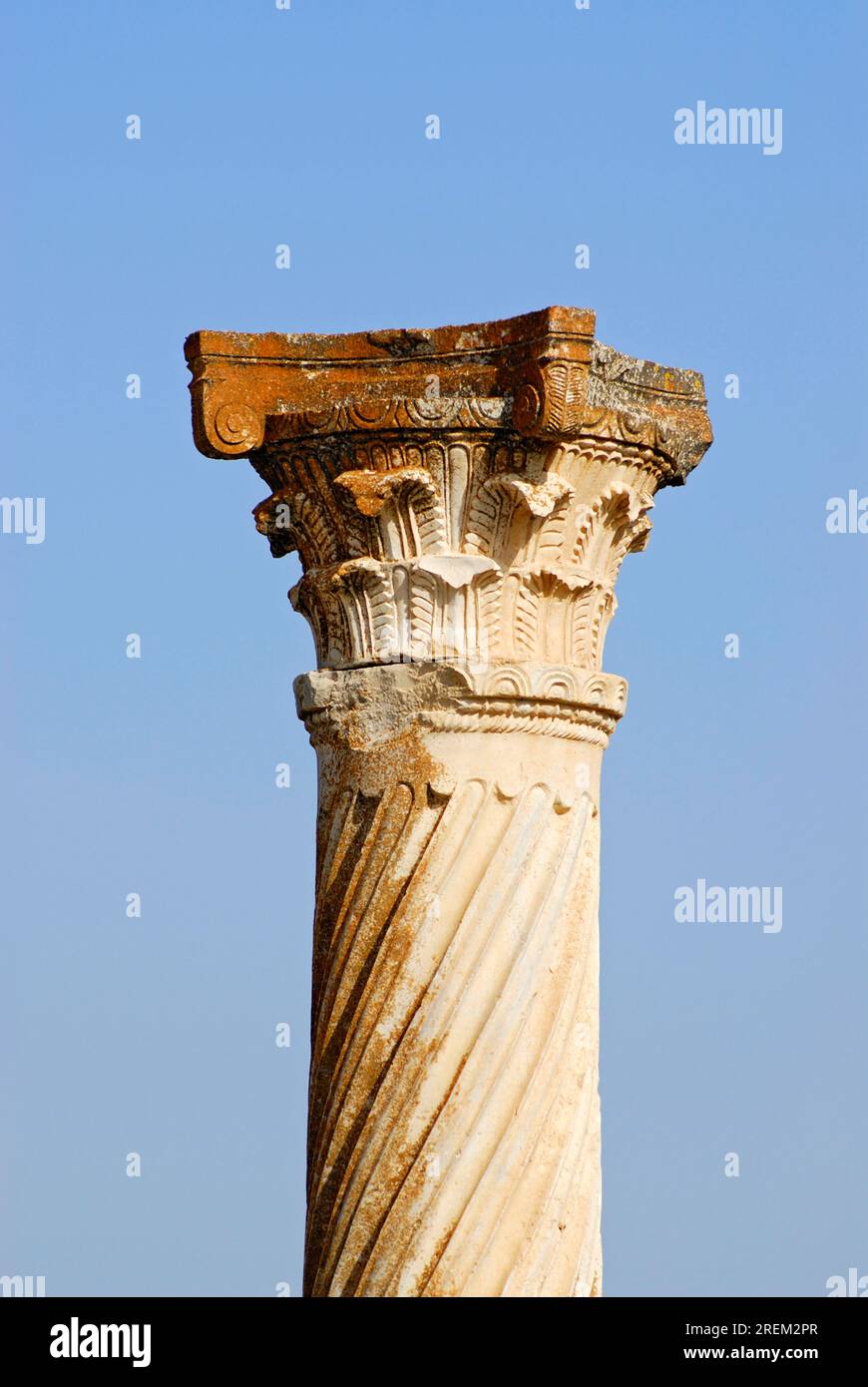 Column section, Volubilis, ancient Roman city, Morocco Stock Photo - Alamy