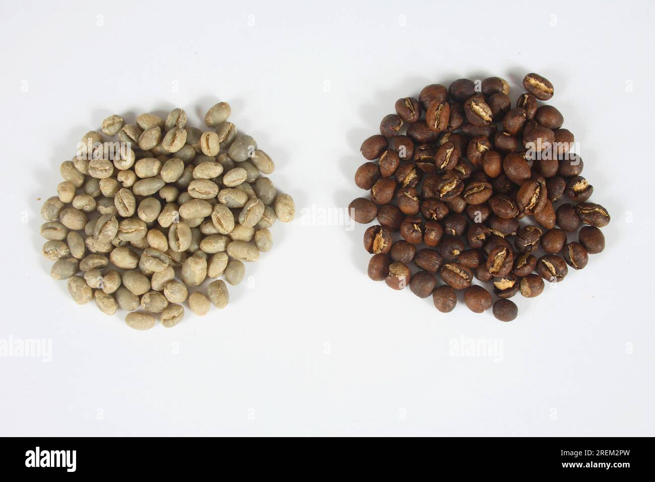 Coffee (Coffea arabica) beans India Pearl Mountain, raw and roasted ...