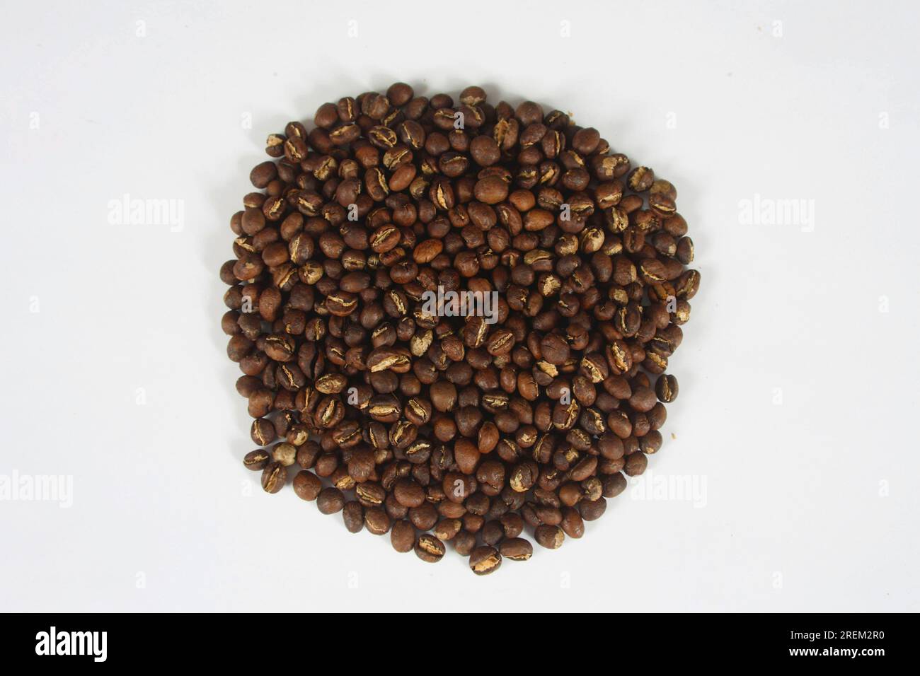 Coffee (Coffea arabica) beans India Pearl Mountain, roasted Stock Photo ...