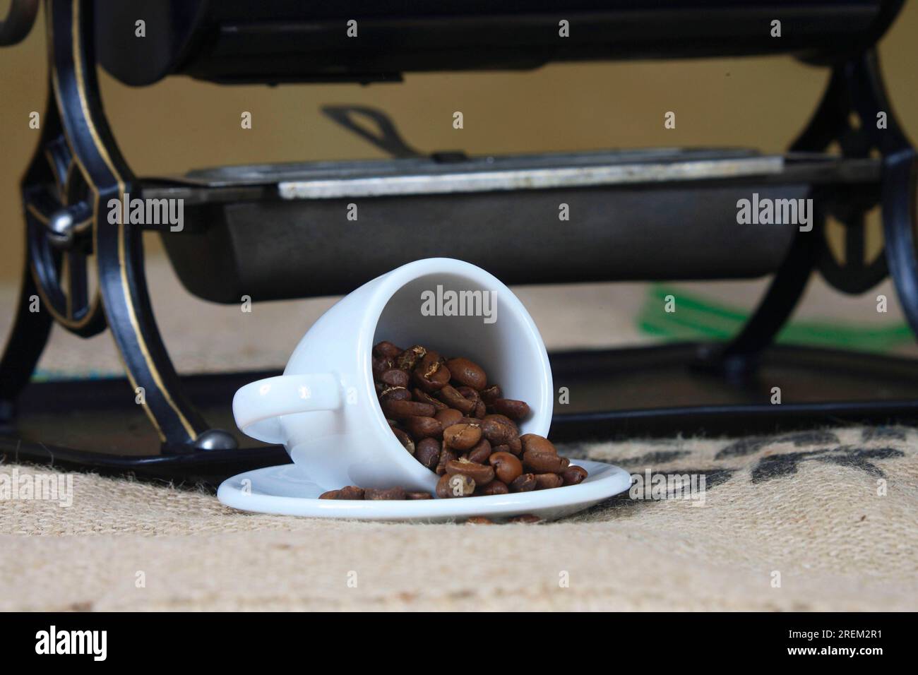 Coffee (Coffea arabica) beans in front of roaster, cup Stock Photo - Alamy