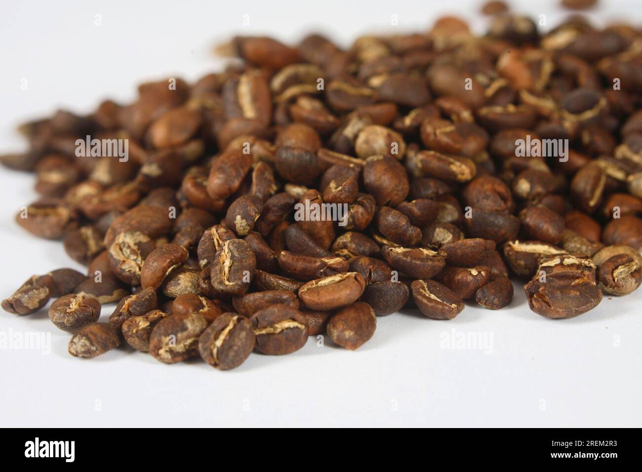 Coffee (Coffea arabica) beans Ethiopia, Yirgacheffe, roasted Stock ...
