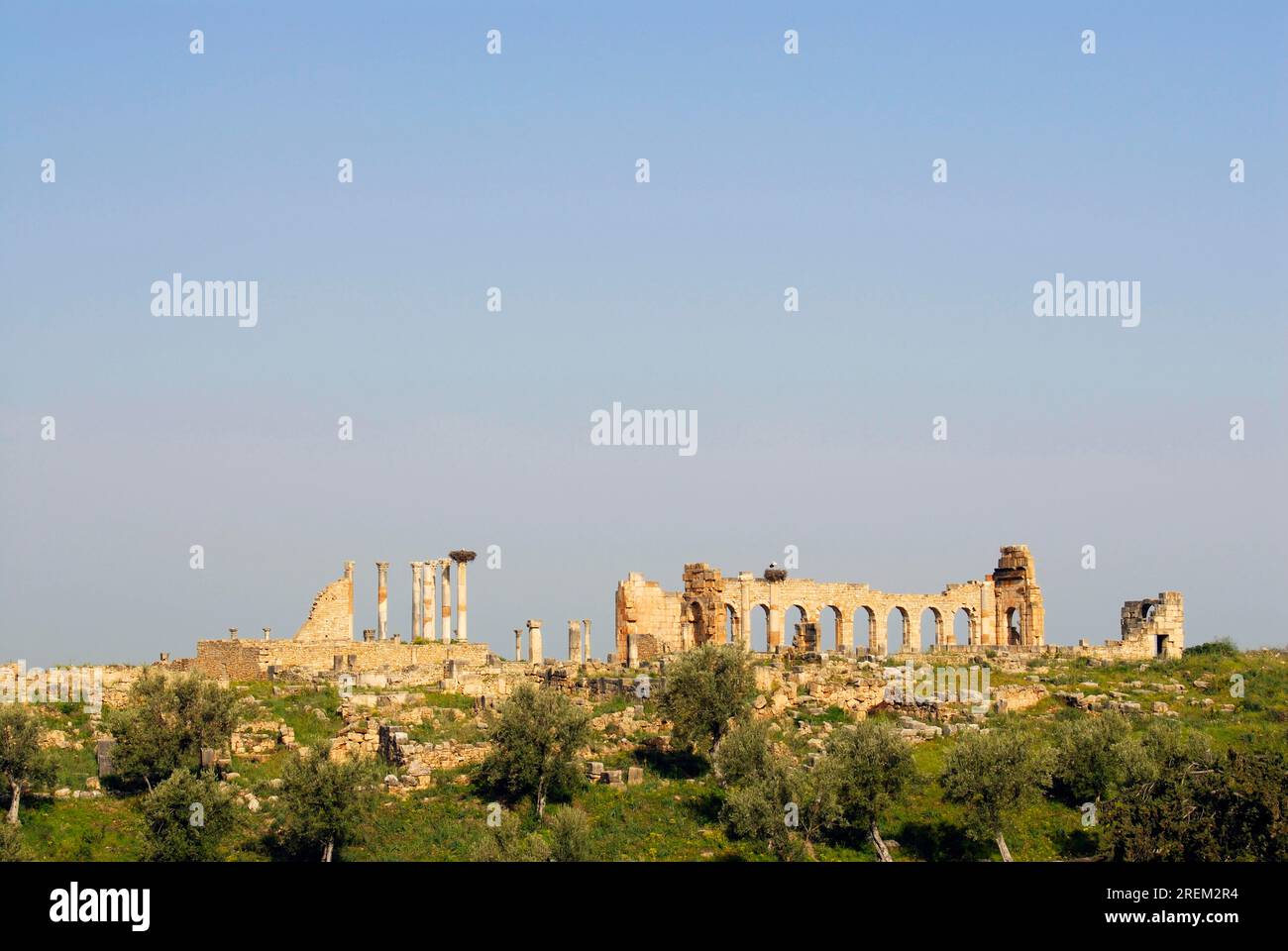 Ruin of Capitol and Basilica, Volubilis, ancient Roman city, Morocco ...