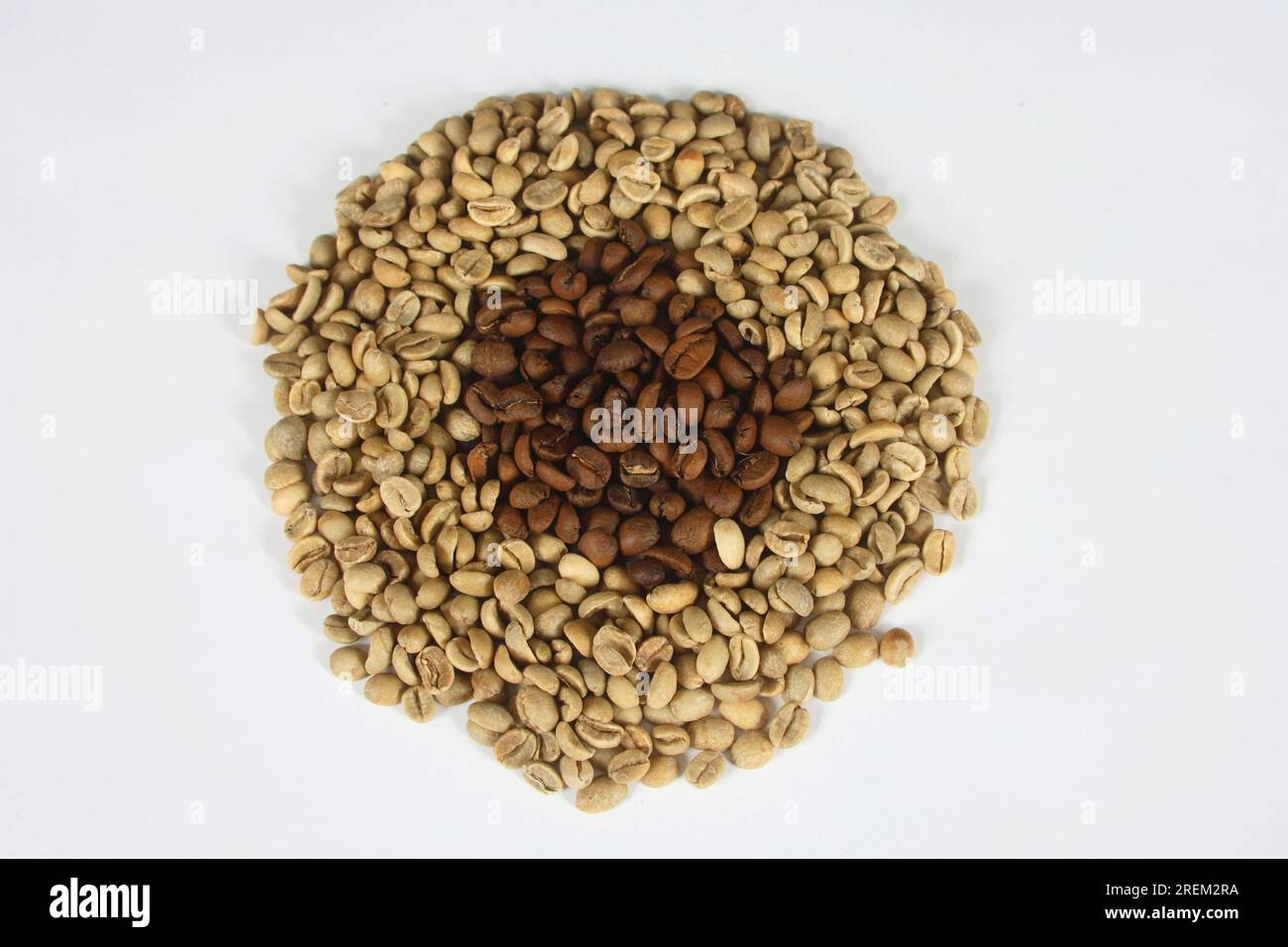 (Coffea arabica), Kopi Luwak, raw and roasted, coffee bean, Indonesia ...