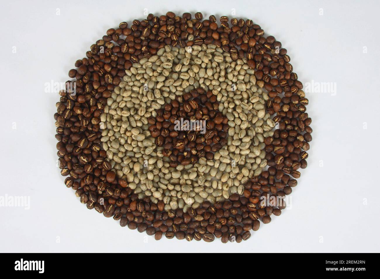 Coffee (Coffea arabica) beans India Pearl Mountain, raw and roasted ...