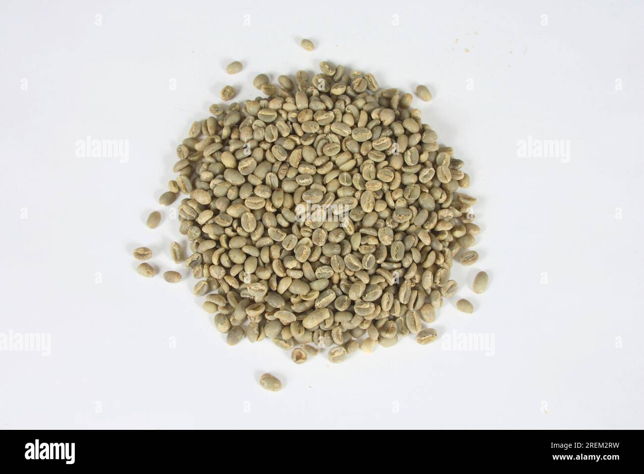 Coffee (Coffea arabica) beans Ethiopia, Yirgacheffe, raw Stock Photo ...