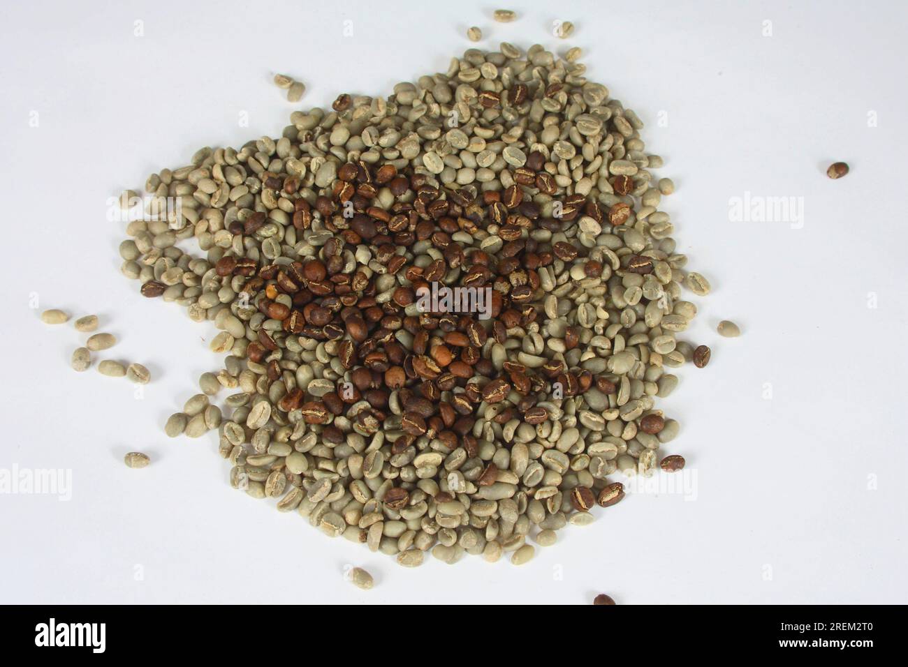 Coffee (Coffea arabica) beans Ethiopia, Yirgacheffe, roasted and raw ...