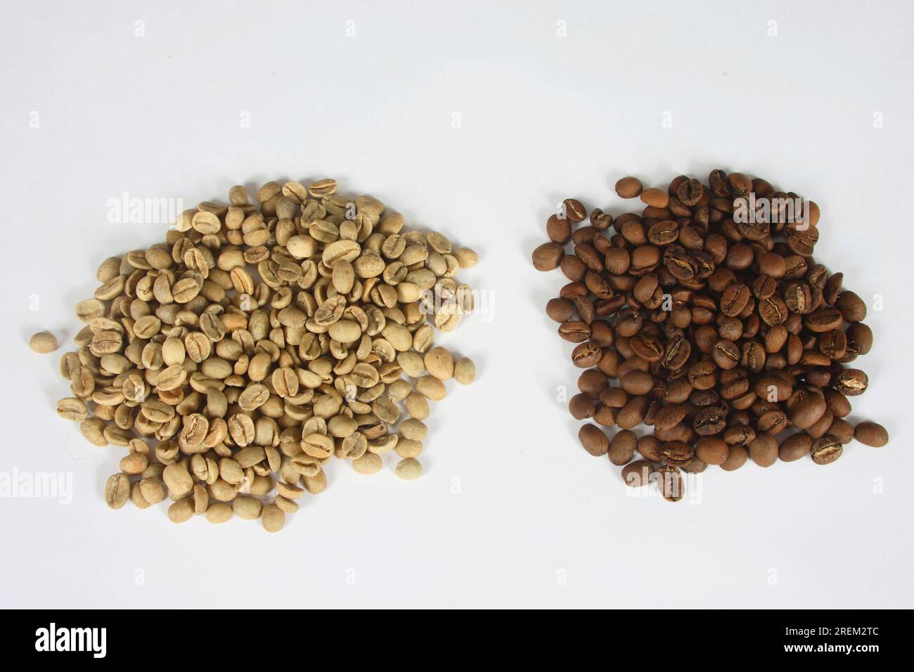 (Coffea arabica), Kopi Luwak, raw and roasted, coffee bean, green ...