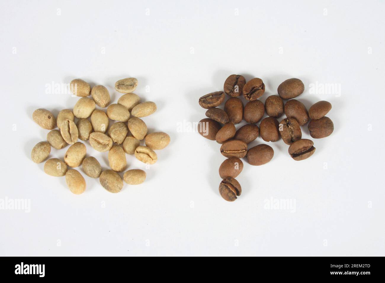 (Coffea arabica), Kopi Luwak, raw and roasted, coffee bean, green ...