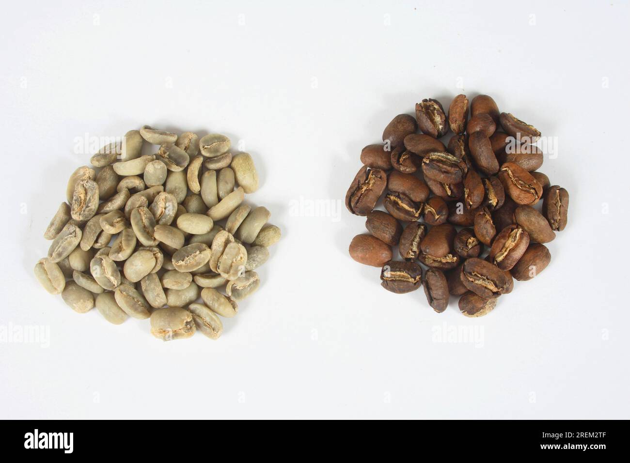Coffee beans organic Mexico Maragogype, raw and roasted (Coffea arabica ...