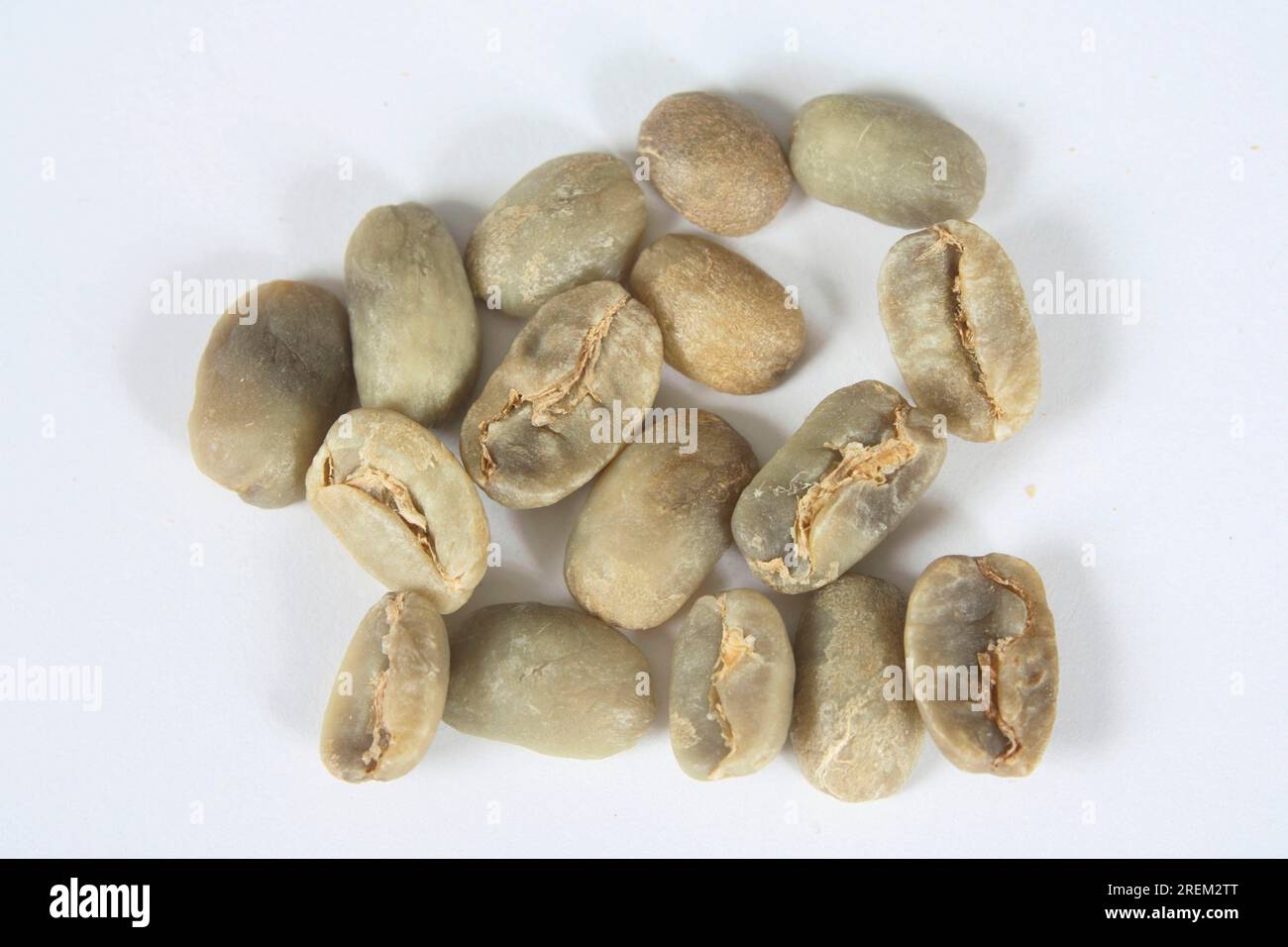 Coffee beans organic Mexico Maragogype, raw (Coffea arabica), coffee ...