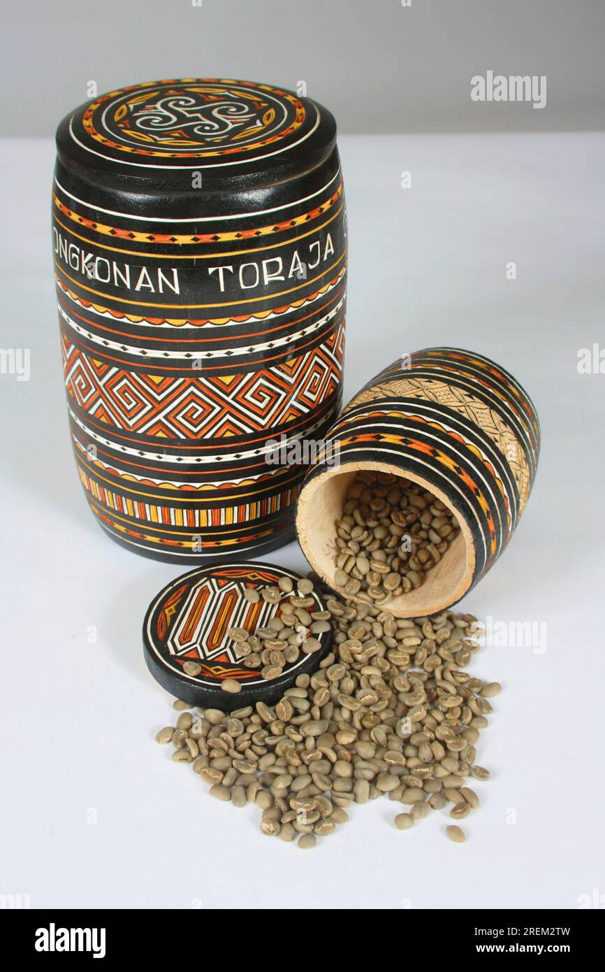 Coffee bean (Coffea arabica) trinket box, Kopi Tongkonan Toraja Sesean ...