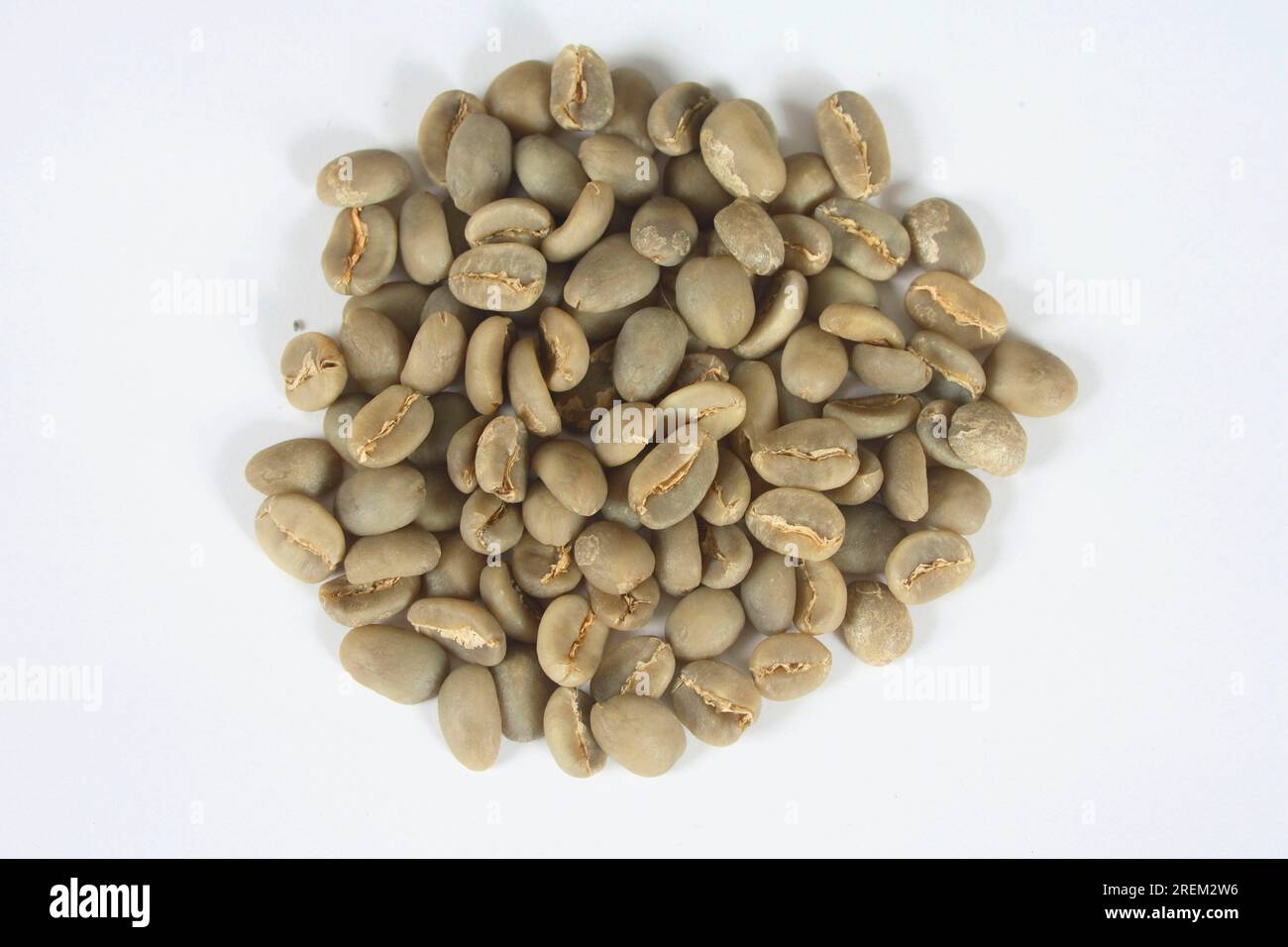 (Coffea arabica), Kopi Tongkonan Toraja Sesean, raw, coffee bean, green ...