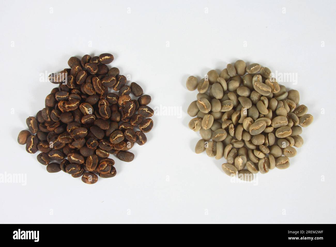 (Coffea arabica), Kopi Tongkonan Toraja Sesean, raw and roasted, coffee ...
