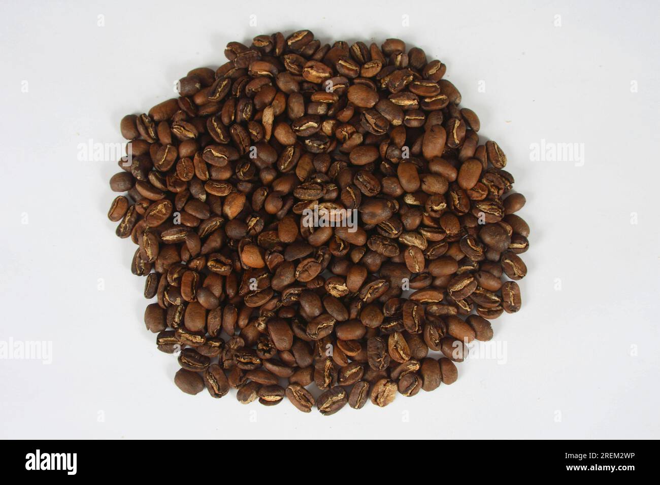 Coffee beans organic Mexico Maragogype, roasted (Coffea arabica ...