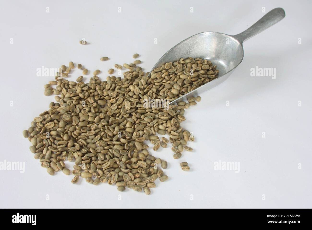 Coffee beans organic Mexico Maragogype, raw (Coffea arabica), coffee ...