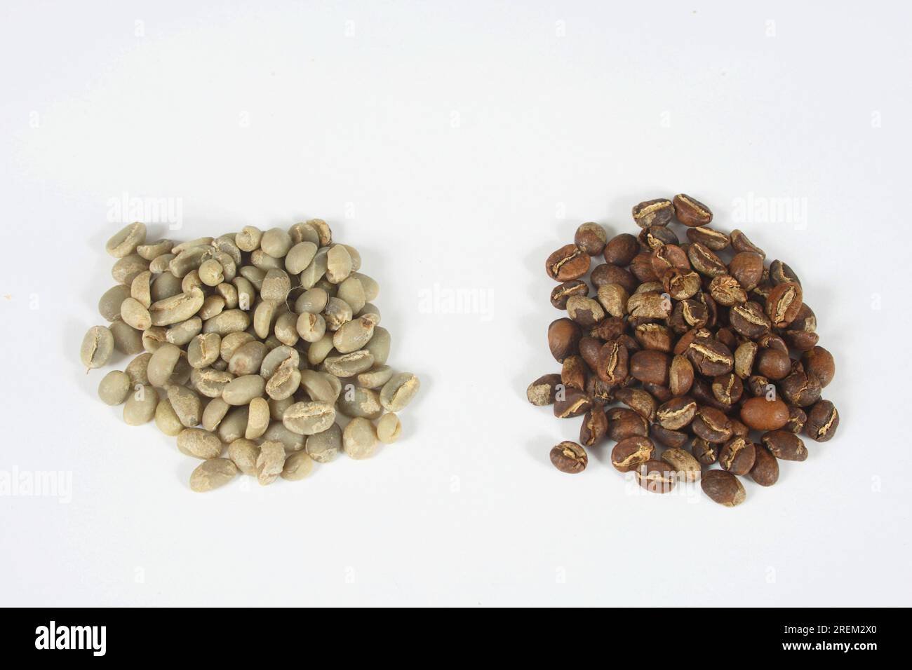 Coffee (Coffea arabica) beans Ethiopia, Yirgacheffe, raw and roasted ...