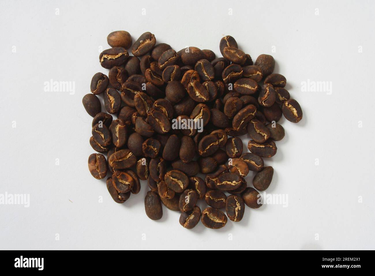 (Coffea arabica), Kopi Tongkonan Toraja Sesean, roasted, coffee bean ...