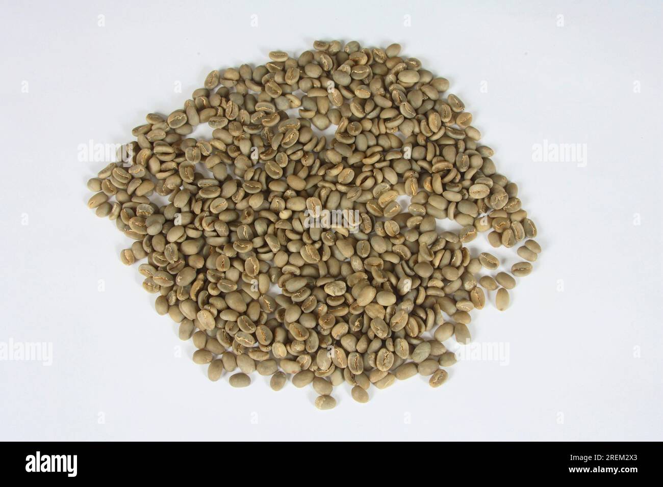 (Coffea arabica), Kopi Tongkonan Toraja Sesean, raw, coffee bean, green ...