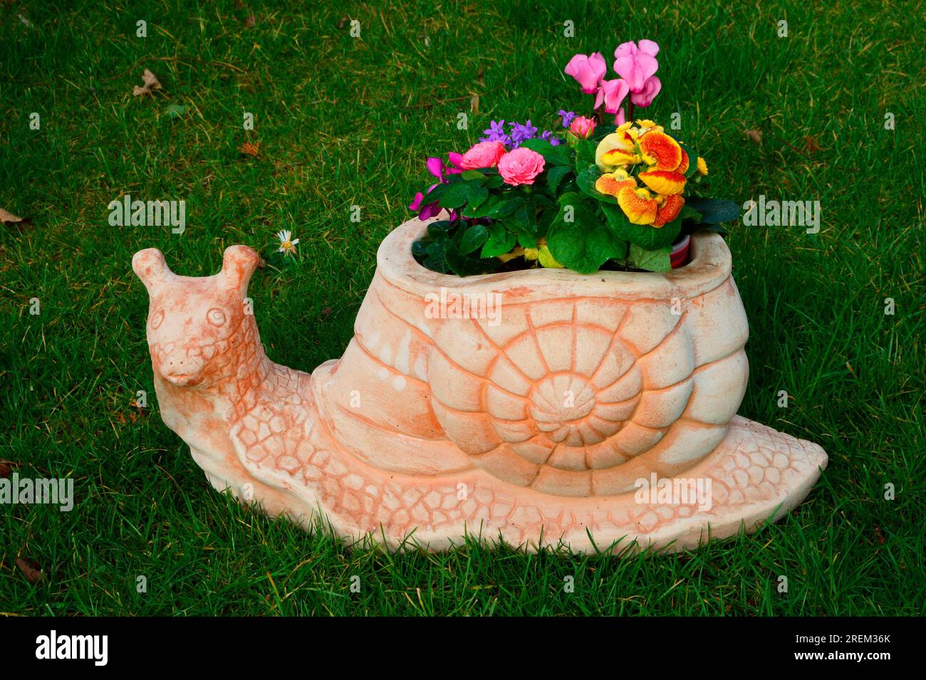 Snail shaped flower pot Stock Photo - Alamy