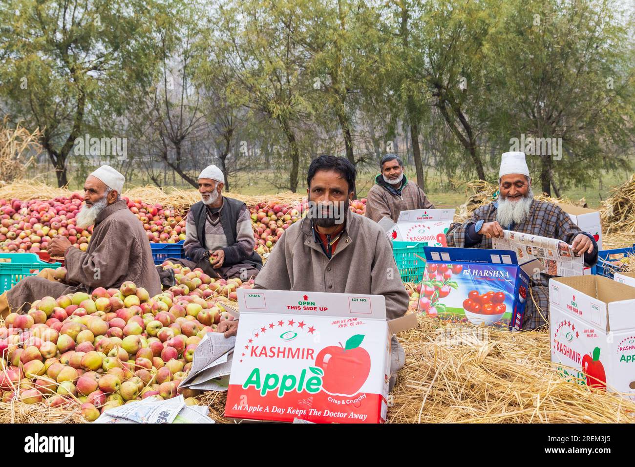Gund Panah, Khansahib Tehsil, Jammu and Kashmir, India. October 31 ...