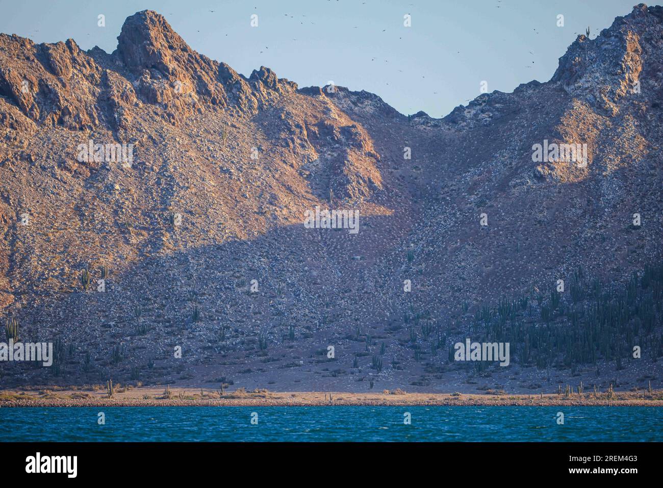 Alcatraz rock island in Kino bay, Sonora Mexico. © (© Luis Gutierrez ...