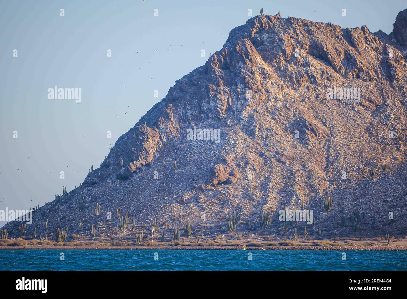 Alcatraz rock island in Kino bay, Sonora Mexico. © (© Luis Gutierrez ...