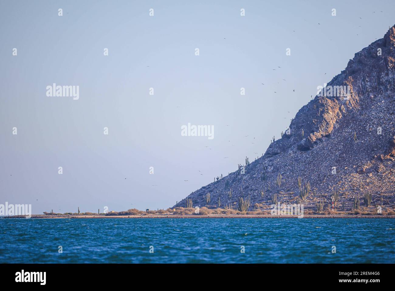 Alcatraz rock island in Kino bay, Sonora Mexico. © (© Luis Gutierrez ...