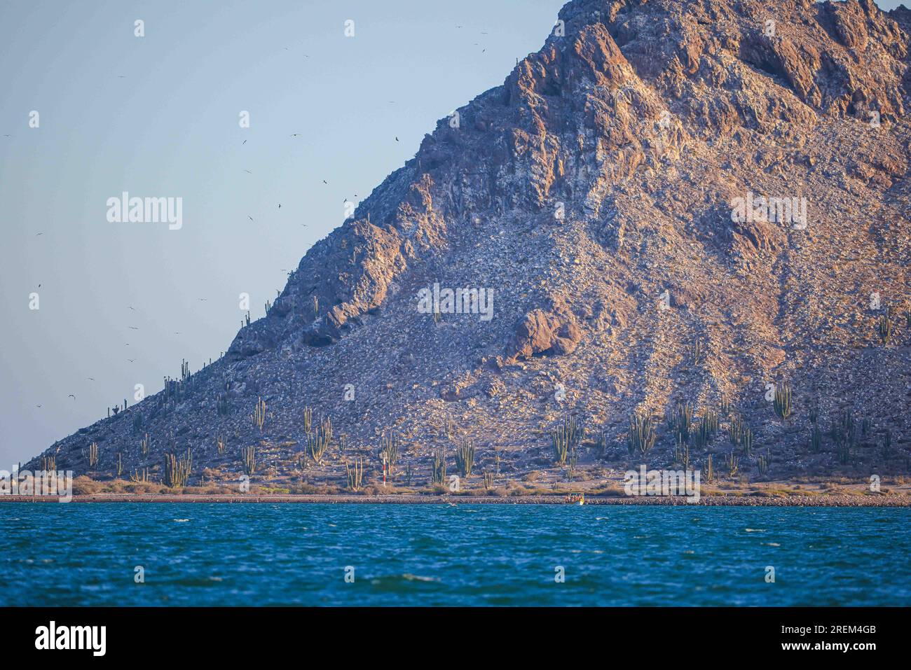 Roca alcatraz hi-res stock photography and images - Alamy