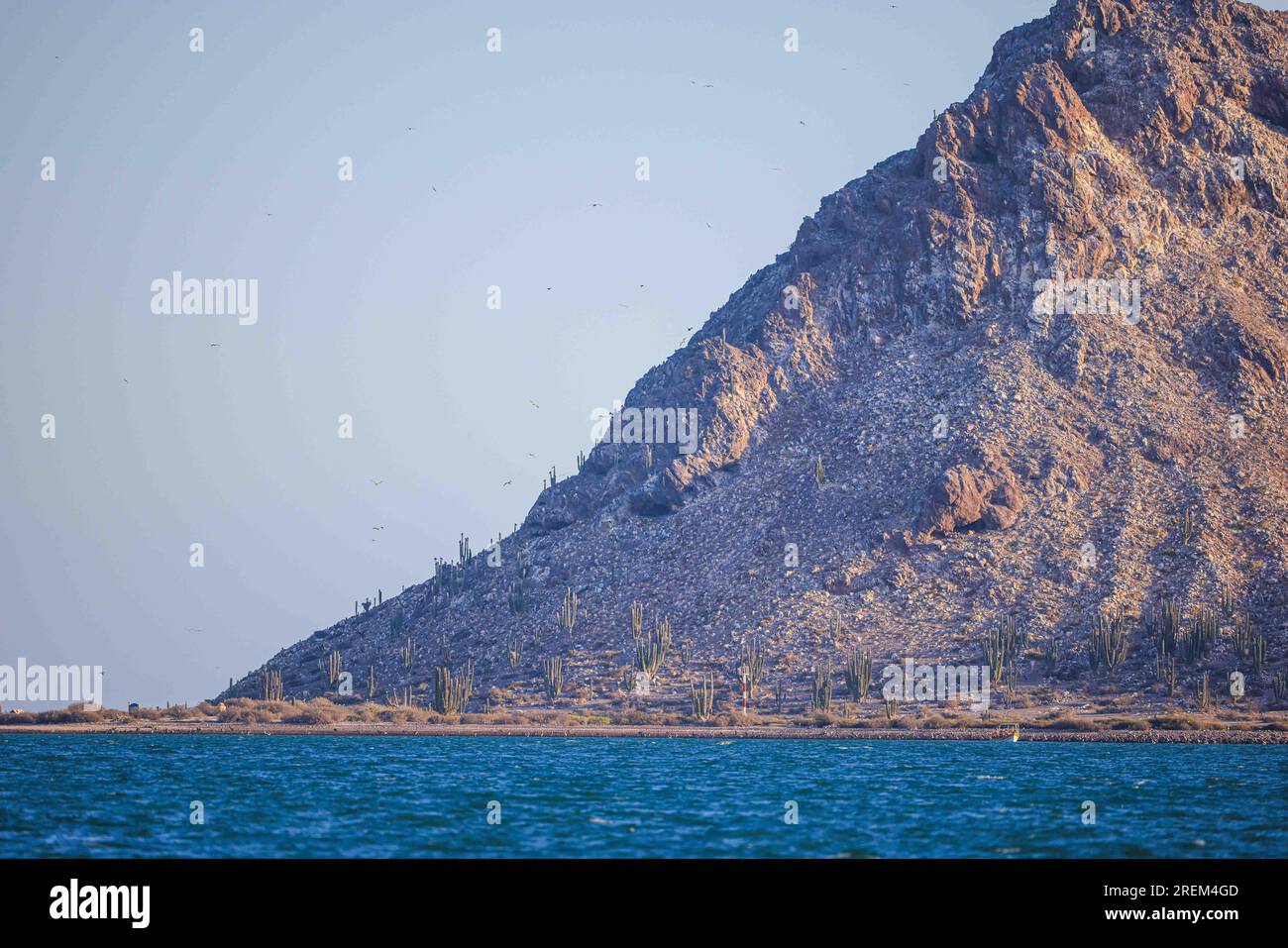 Alcatraz rock island in Kino bay, Sonora Mexico. © (© Luis Gutierrez ...