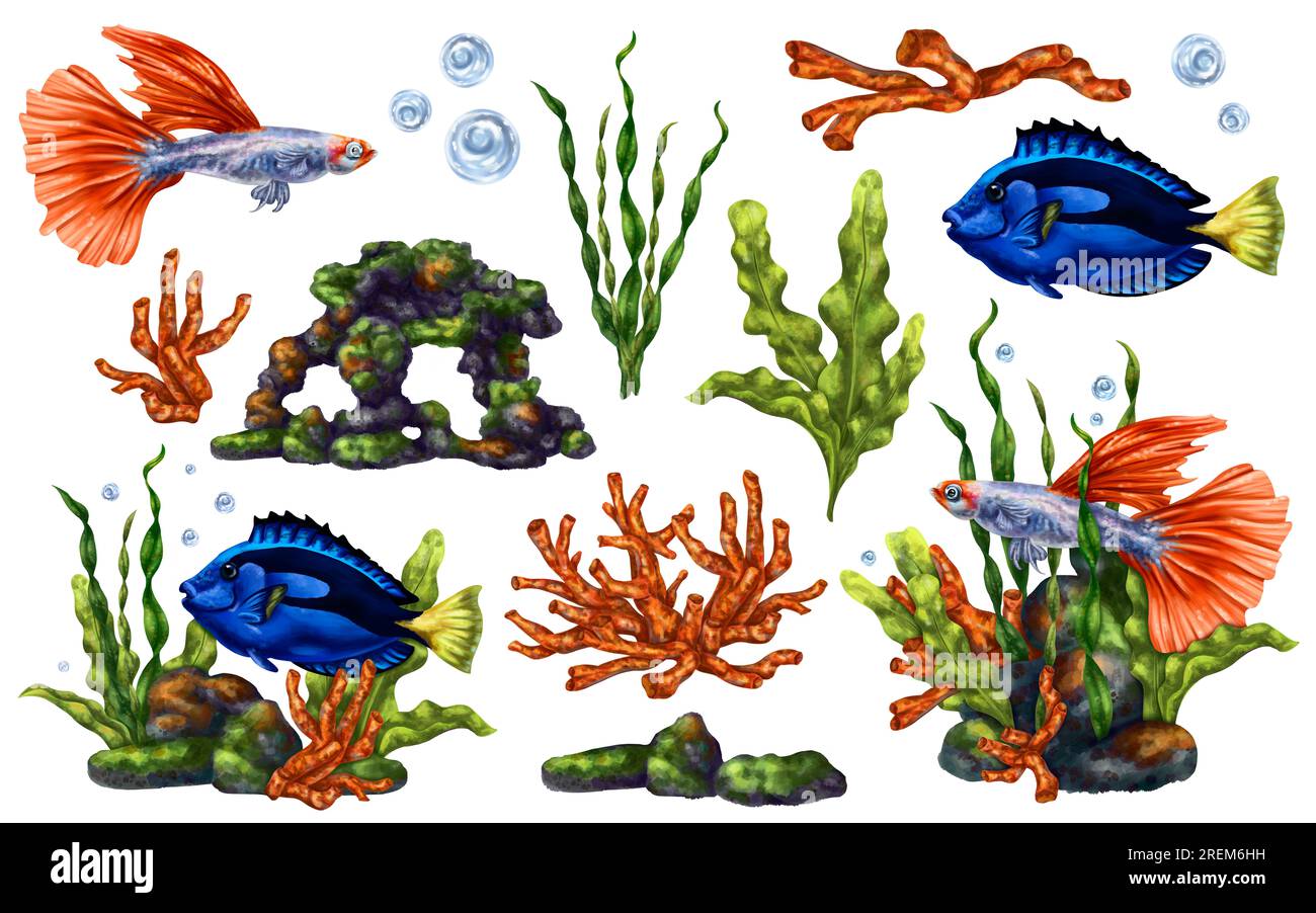 Lagoon under Cut Out Stock Images & Pictures - Alamy