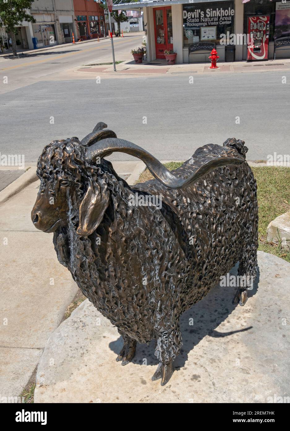 Texas, Hill Country, Edwards County , Rocksprings, Angora Billy Goat ...