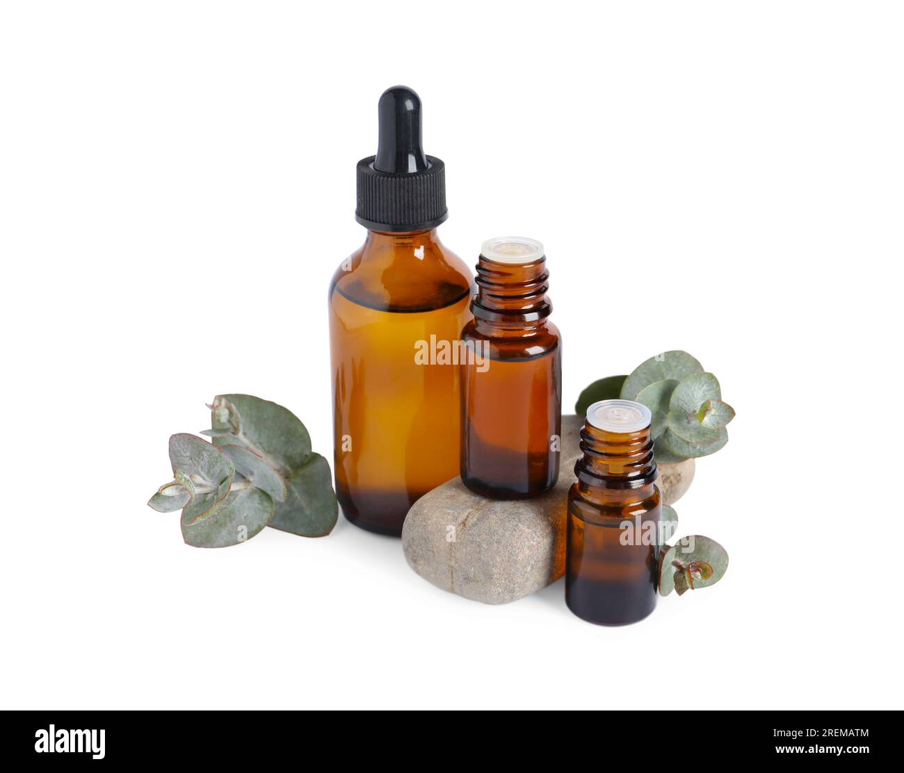 Bottles of eucalyptus essential oil, stone and plant branches on white ...