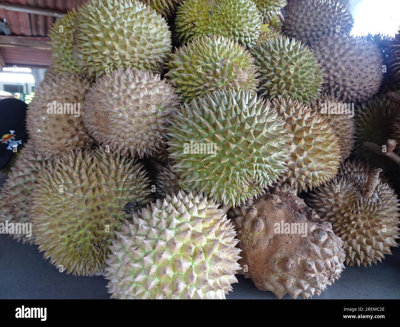 a bunch of durian fruit sold in traditional markets Stock Photo - Alamy