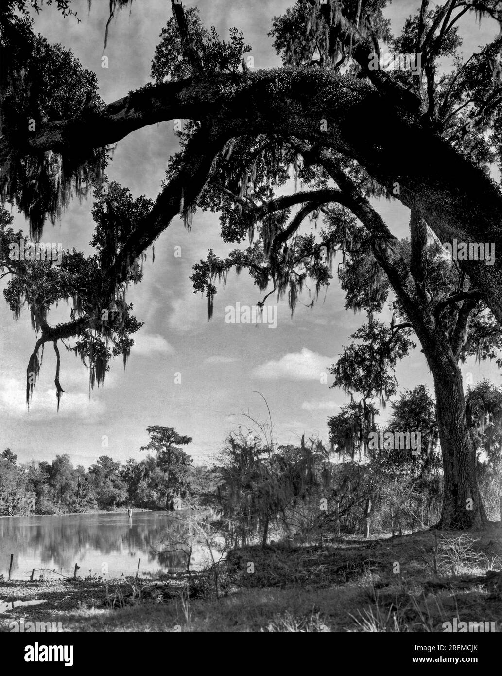 Lake Charles, Louisiana c 1920 A scene along the shores of Lake Charles ...