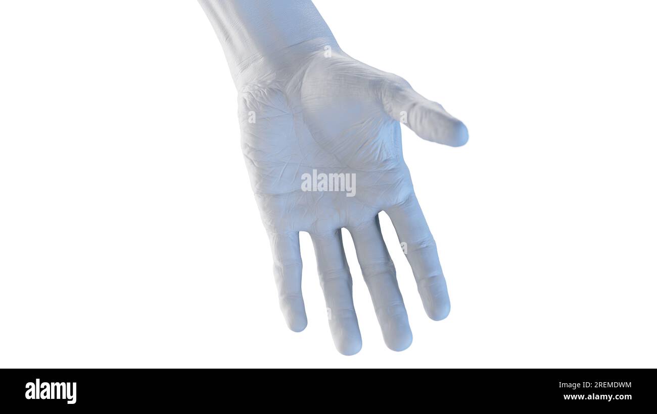 Human hand, illustration Stock Photo - Alamy