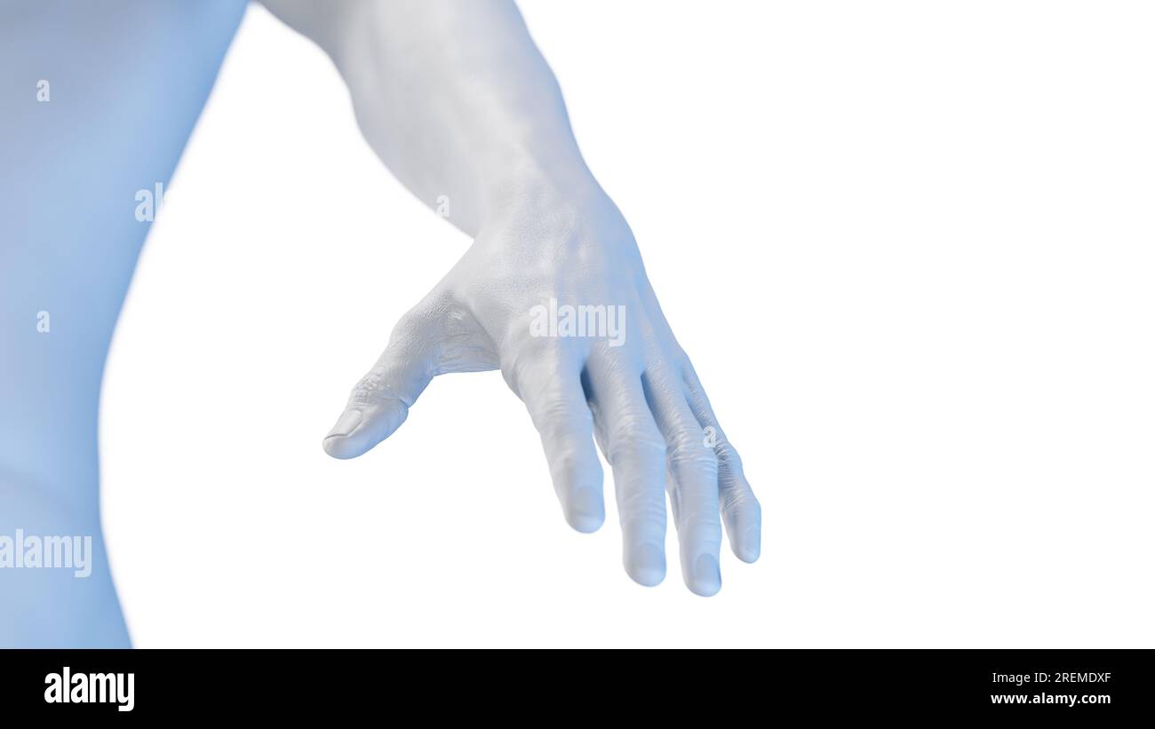 Human hand, illustration Stock Photo - Alamy