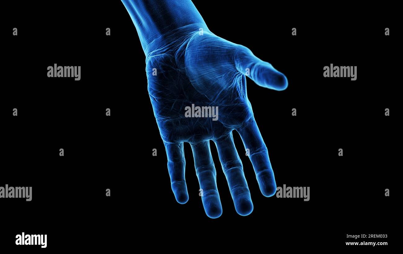 Human hand, illustration Stock Photo - Alamy