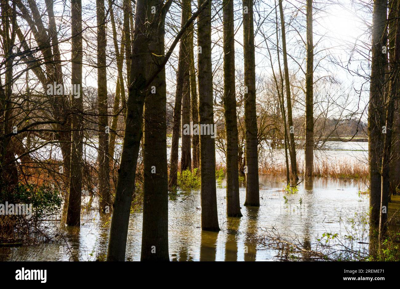 Suffolk flooding hi-res stock photography and images - Alamy
